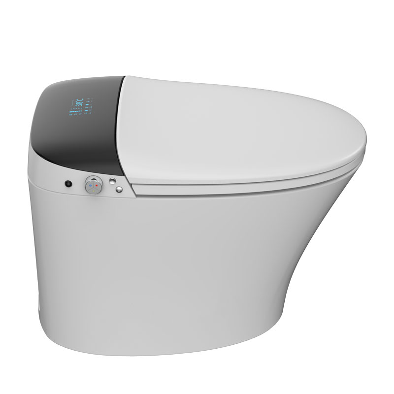 Smart Japanese Toilet, Smart Electric Bidet Toilet, Washlet