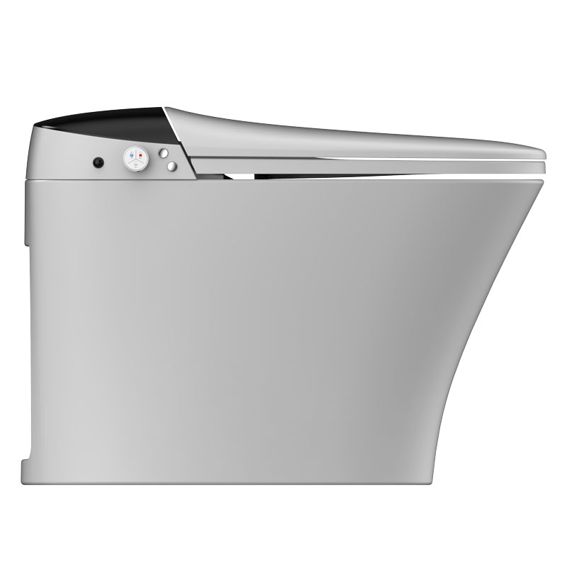 Smart Japanese Toilet, Smart Electric Bidet Toilet, Washlet