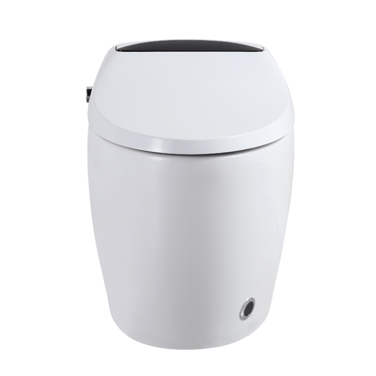 Self Flushing Toilet One Piece Modern Intelligent Toilets